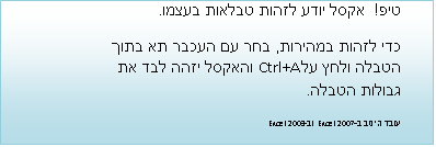 טופס וטבלת אקסל | תותח אקסל